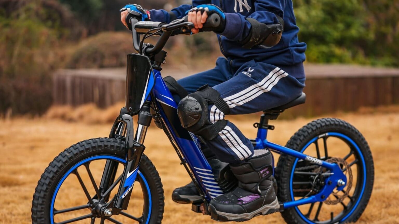 Top 10 Chinese Electric Bike Manufacturers - APOLLO